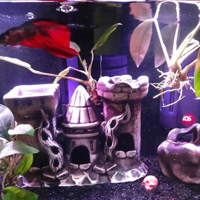 Fish Tank Accessories Fish Tank Ornaments Fish Tank Décor Aquarium ...