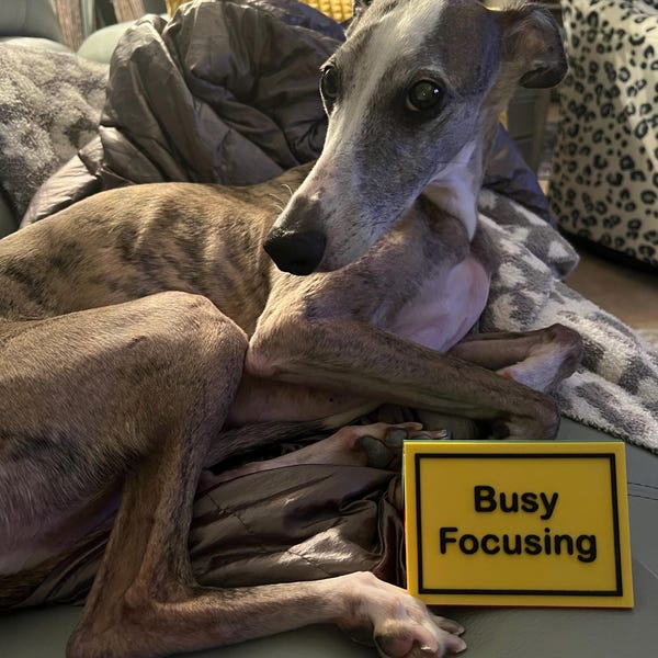 Availability Desk Sign - Handy Tool for the Busy Office - Time Blocking ...