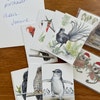 Mini Gift Cards Box Set of 12 Australian BIRDS Wildlife Recycled Card ...