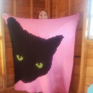 C2C PATTERN LADY BUG C2c Graph Pattern With Row by Row Color - Etsy