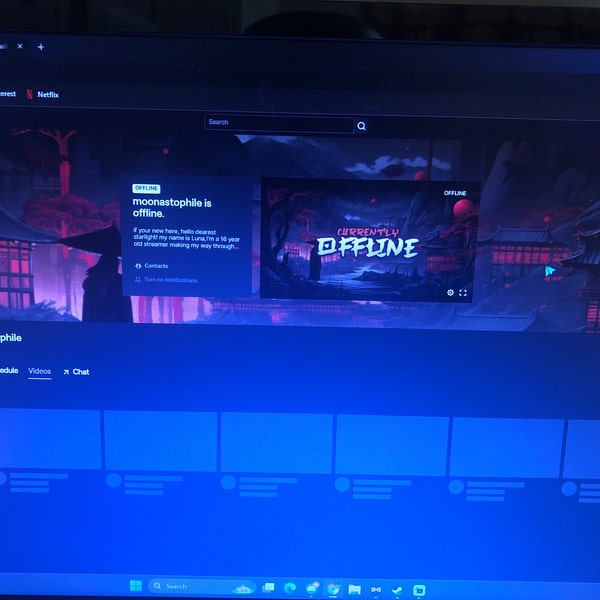 GAMING SETUP Twitch Overlays Kit - Animated Streampack - Low-fi Néon ...