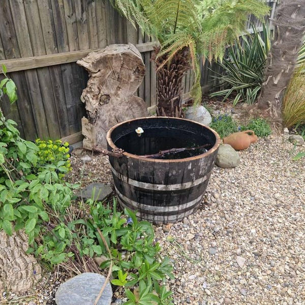 WHISKEY BARREL PLANTER - Reclaimed Oak Cask Planters - Freshly Made to ...
