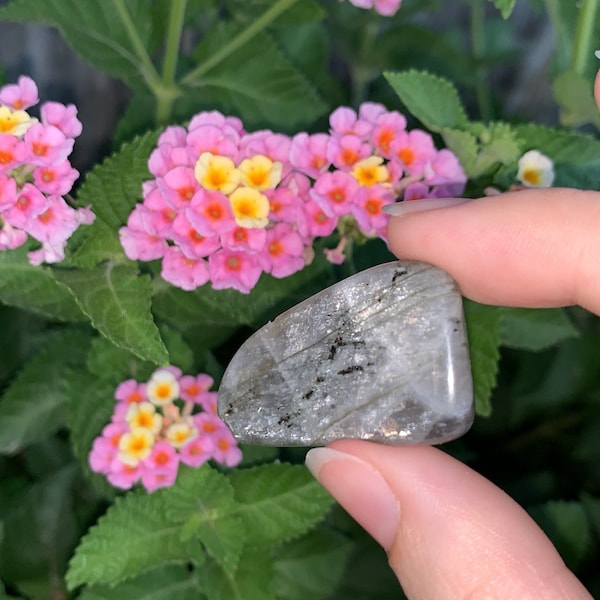 Labradorite Tumbled Stones-tumbled Labradorite-polished Labradorite ...