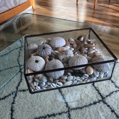 Large Closed Terrarium With Removable Top Check Out the - Etsy UK