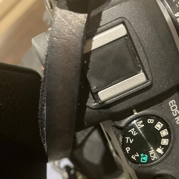 Canon RF Pinhole Camera Lens, Canon EOS R Mount, Canon DSLR Photography ...