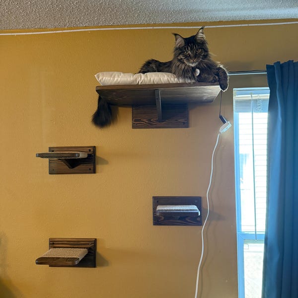 Cat Furniture for Big Cats, Big Cat Shelves, Cat Shelves for Wall, Cat ...