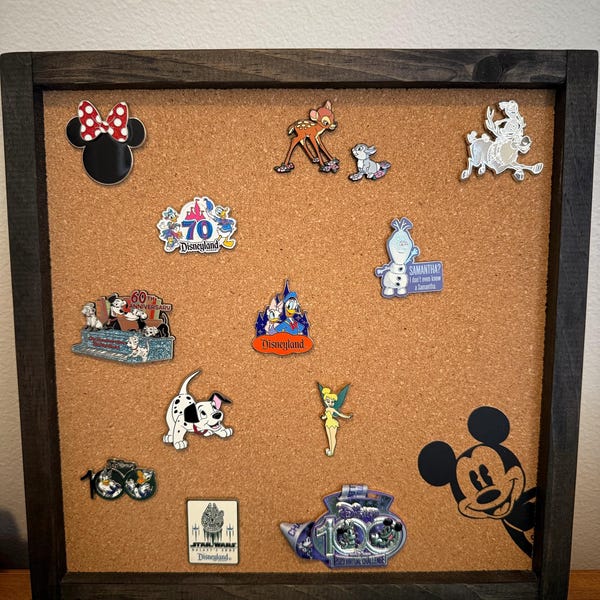Disney Pin Collection Display Board- 100 Different Designs! - Etsy