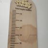 Personalised Growth Chart - WILDFLOWER | Girls Room | Daisy Theme ...