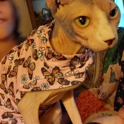 Sphynx Cat Shirt One Arm Hole Sphynx Cat Clothes Hairless Cat Clothes ...