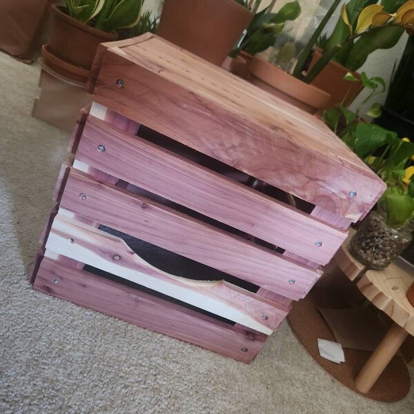 Bat Box, Large Aromatic Cedar Bat Box, Bat House, Bat Nest, Bat ...
