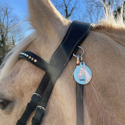 Equestrian Horse ID Tag Personalised Horse Bridle Tag Horse Gift Equine ...