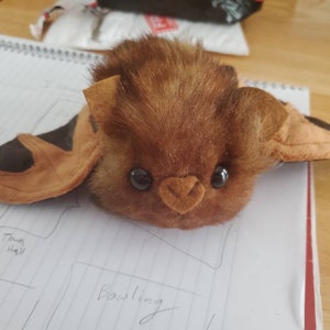 Bat Plush Fruit Bat Flying Fox Cute Toys Bat Stuffed Animal - Etsy