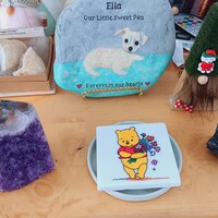 Bluey Characters Painted Rocks Heeler Family Rocks - SEALED 10 Dollars ...