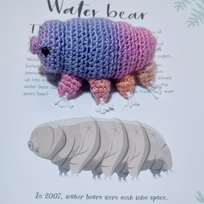 Tardigrade Amigurumi Crochet Pattern PDF English - Etsy