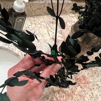 Fresh Leather Leaf Fern baker Fern Bunches free Shipping - Etsy