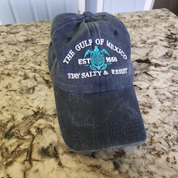 Bookworm Hat, Reading Club Hats, Librarian Gift, Reading Hats, Cap for ...