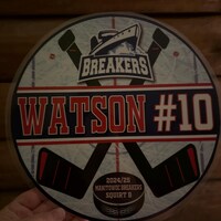 PRINTED Softball Door Sign or Locker Tag | Your Logo | Your Colors ...