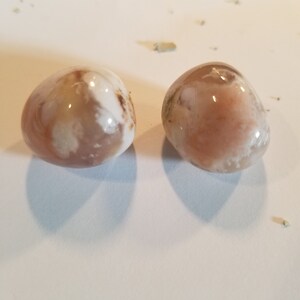 Zebra Onyx Small T-rex Stone Carving Polished Tyrannosaurus | Etsy