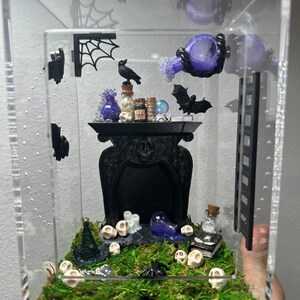 Witch Themed Enclosure - Etsy