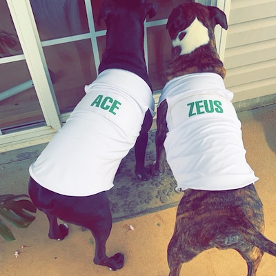 Caddie Uniform Custom Number Badge With Fabric and Hook and Loop Caddy ...