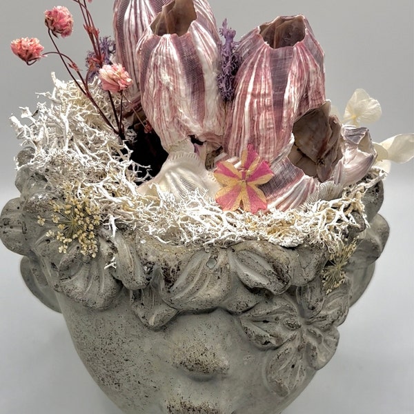 Purple Barnacle Cluster 3"- 5" Beach Decor-barnacle-coral-air Plant ...