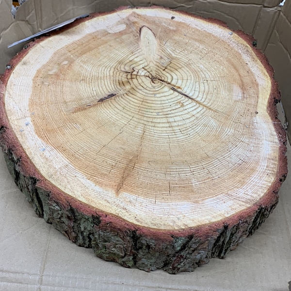 Gorgeous 18 Rustic Log Slice X 3 Thick, Ideal for Wooden Wedding Cake ...