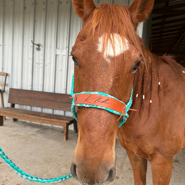 Custom Horse Mule Tape Halter With Leather Nose Band | Sizes Mini ...