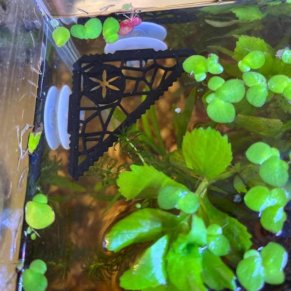 Half Circle - Moss Ledge/plant Ledge Decor/ Aquascaping for Aquarium ...