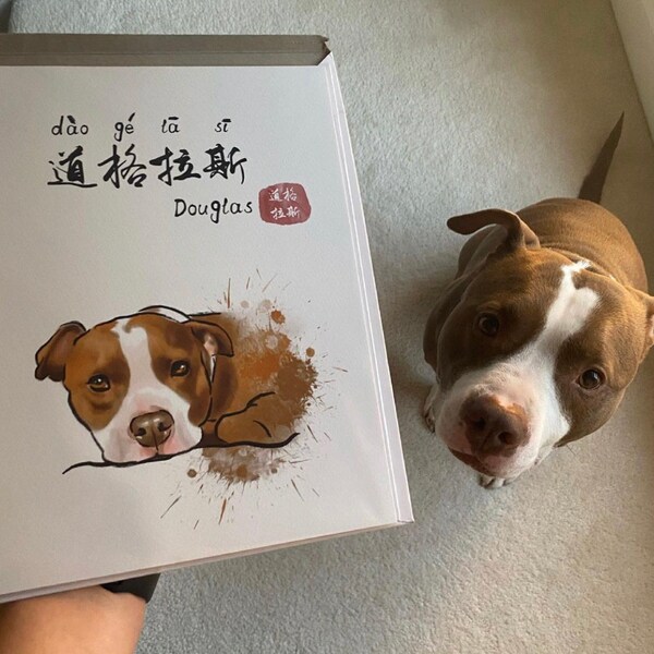 Your Pet's Name in Chinese Characters.lunar New Year.custom Pet ...