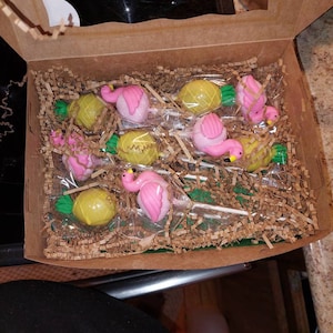 Pool Party Cake Pops 12 Cake Pops Individually Wrapped Pool - Etsy