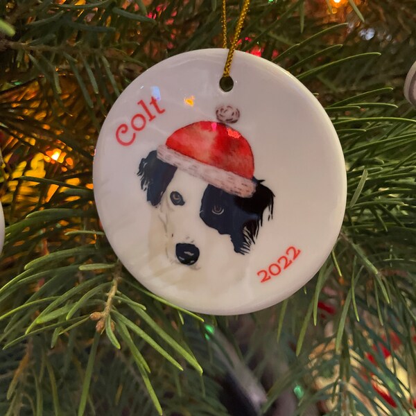 Silkie Chicken Ornament, Silkie Chicken Gift for Christmas, Silky Hen ...