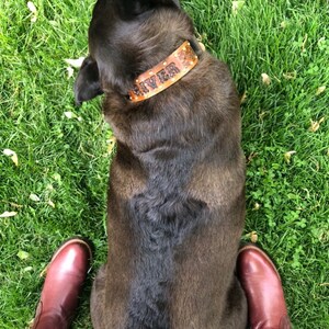 Leather Dog Collar: Design Your Own Personalized Dog Collar | Etsy