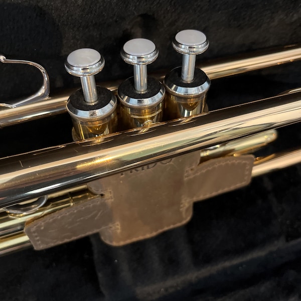 Personalized Leather Trumpet Valve Protector, Trumpet Valve Guard, Best ...