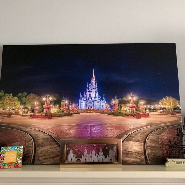 The Tree of Life at Night - Animal Kingdom Photo Prints and Canvas Wraps, Walt Disney World - Etsy