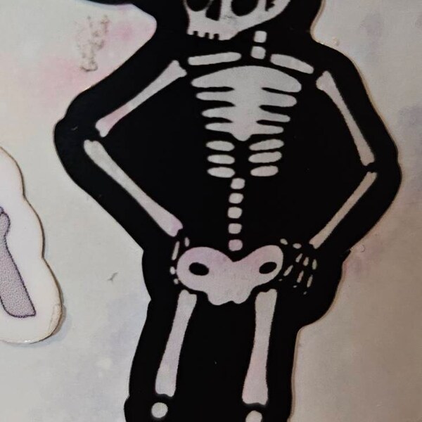 MINI Skeleton Vinyl Sticker - Etsy