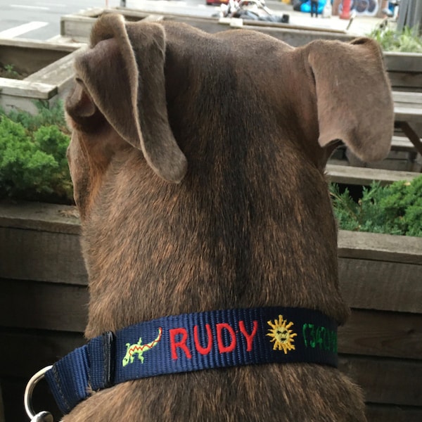 Personalized Custom Made Embroidered Dog Collars - Etsy