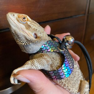 Leather Lizard HarnessAquarius | Etsy