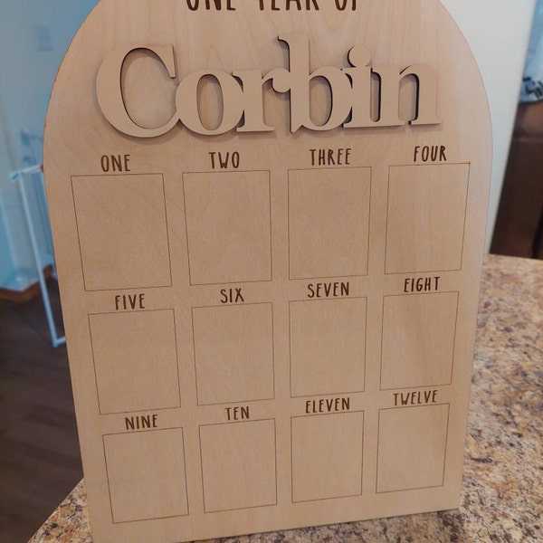 My First Year, Baby Monthly Photo Picture Frame, Newborn Picture Frame ...