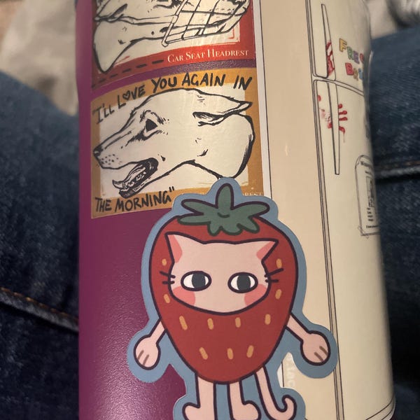 Fruit Cat Stickers | Aesthetic Cute Stickers + Sticker Pack - Etsy