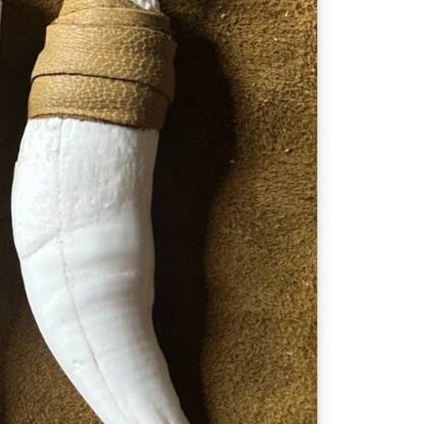 Quality Leather-wrapped Replica African Lion Tooth Pendant, Cast From ...