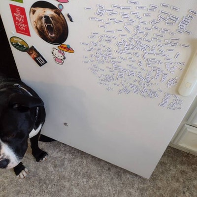 Word Magnets: Starter Pack of 350 Pieces - Etsy