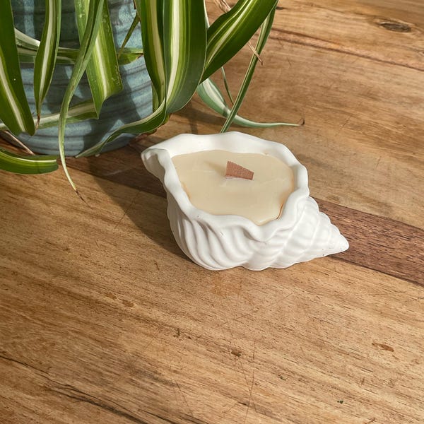 Handmade Conch Shell Candle: Scented Soy Wax, Stone Seashell - Etsy UK