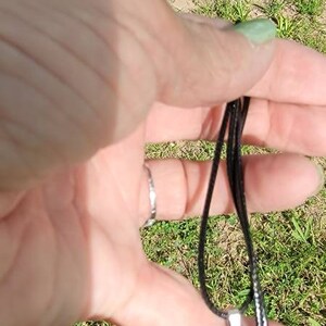 Agatized Turritella Shells - Etsy