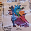 Heart Anatomy Printable Activity, Human Body Game, About Me, Heart ...