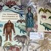 The Natural History of Cryptid Creatures - Picture Book - Etsy