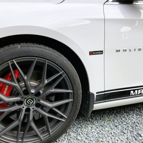 TEIN 3D Domed Sticker Emblem Logo - Etsy