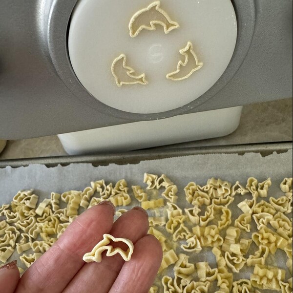 Philips Pasta Disc - Dumpling/lasagna - Etsy