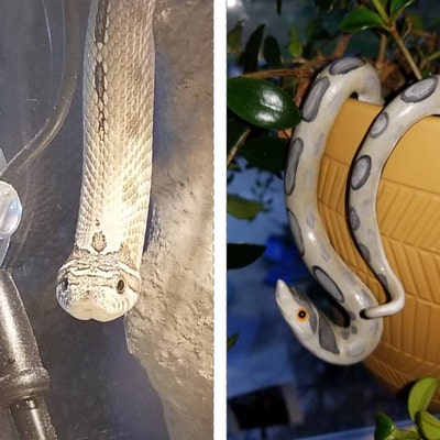 Set of 3 Snakes, Bookcase Snake, Planter Snake, Table Top Snake 3 ...