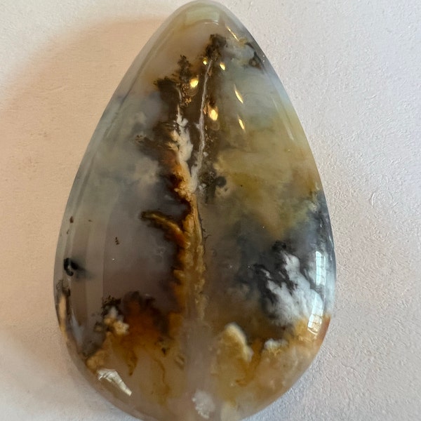 Dinosaur Bone Slab Gembone Slab Dino Bone Polished Museum - Etsy