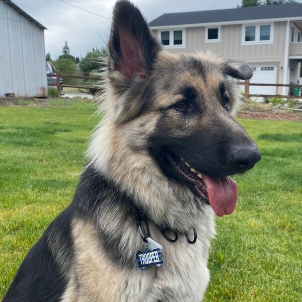 2 Sided TBL - Thin Blue Line Police Dog Tag - Back the Blue - Custom ...